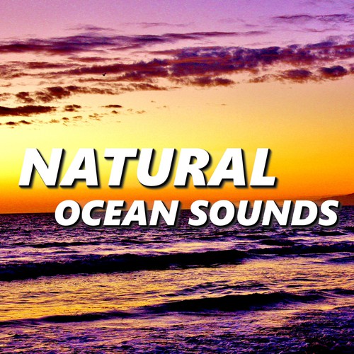 Ocean Sound Radio - Listen to Natural Sounds, Free on Pandora Internet ...